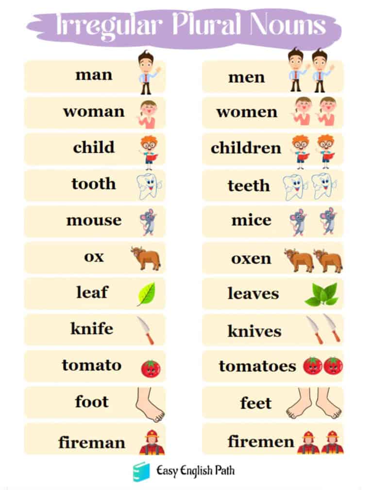 What Are Plural Nouns? Full Grammar Guide