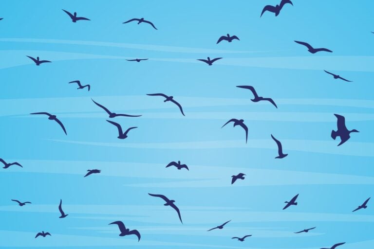 Ce este un substantiv comun? Ghid complet cu exemple