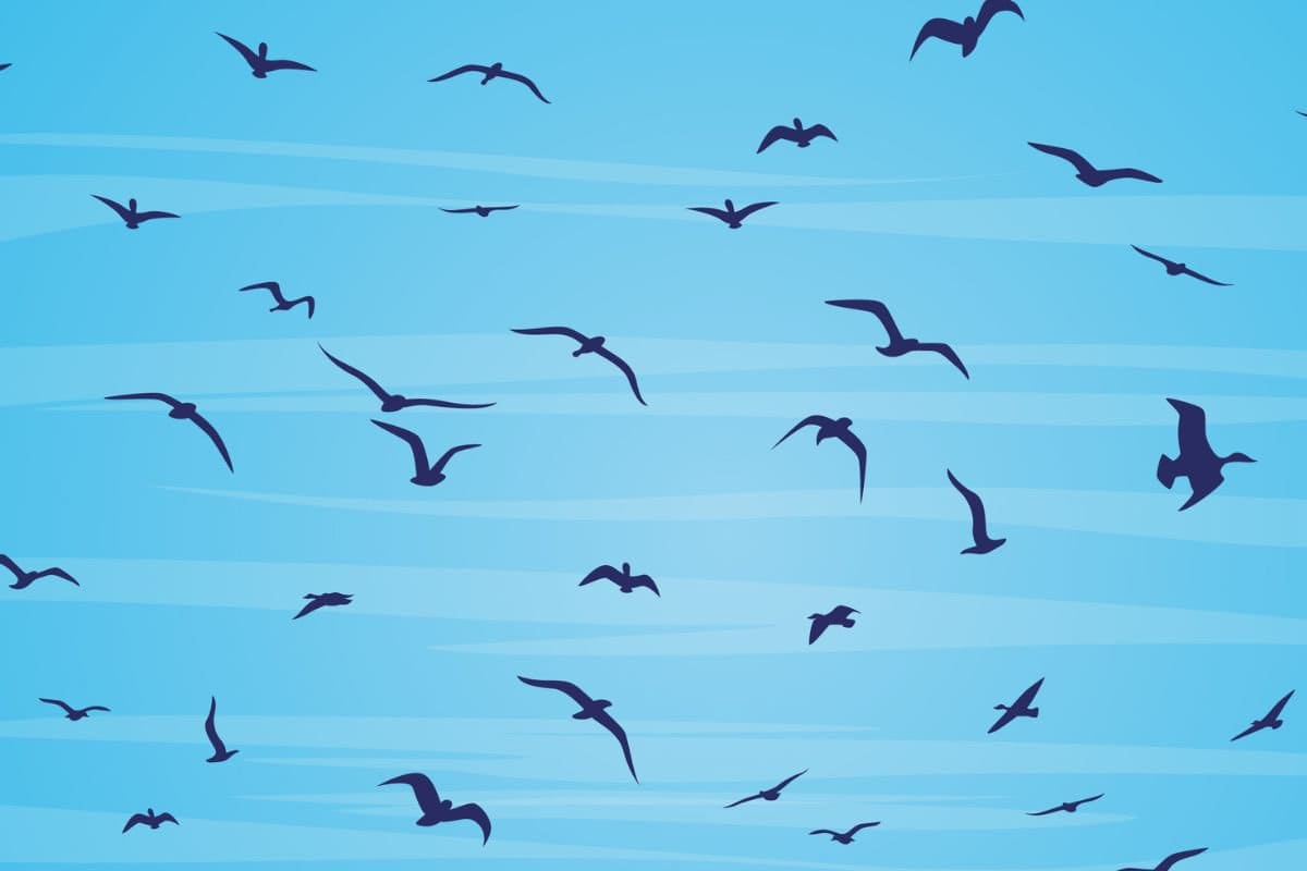 Qu'est-ce qu'un nom commun ? Guide complet avec exemples