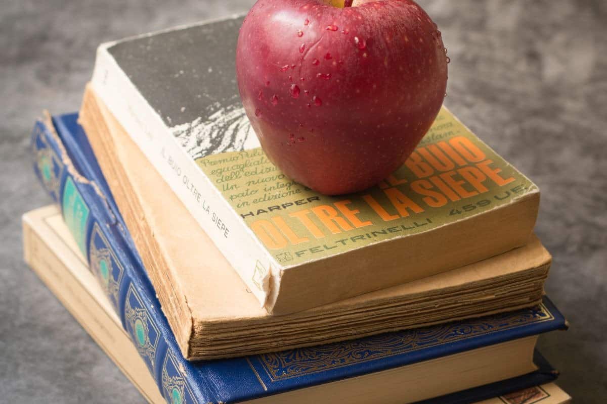 Ce este un adverb de timp? Ghid complet + exemple