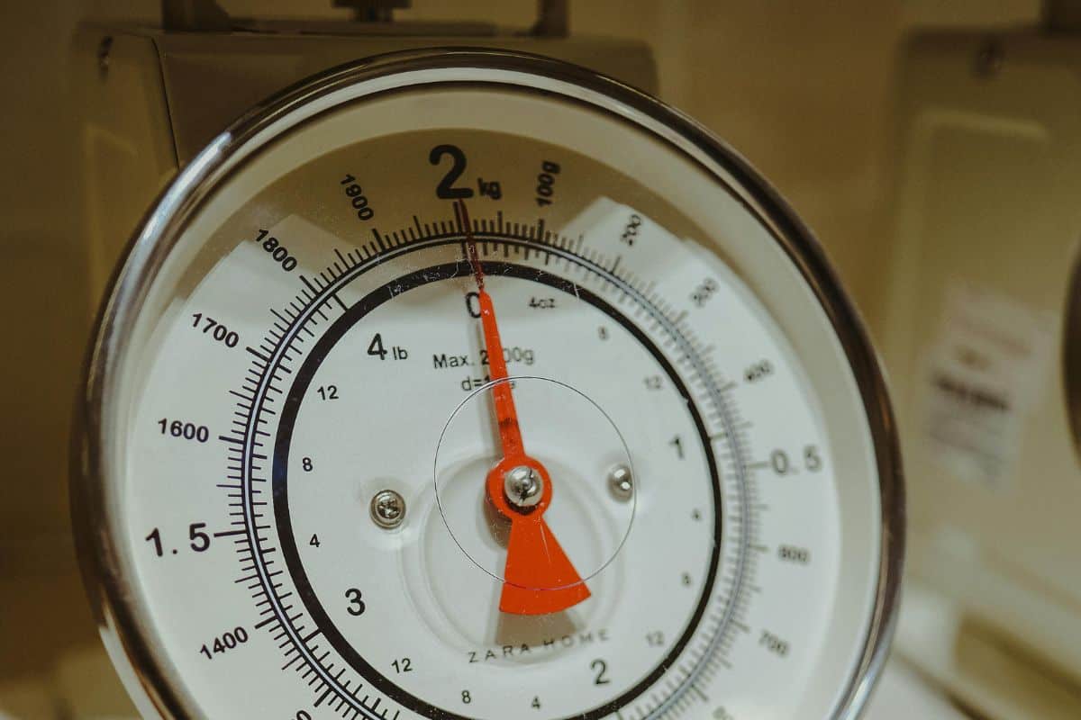 Combien de grammes dans une once ? Réponse rapide