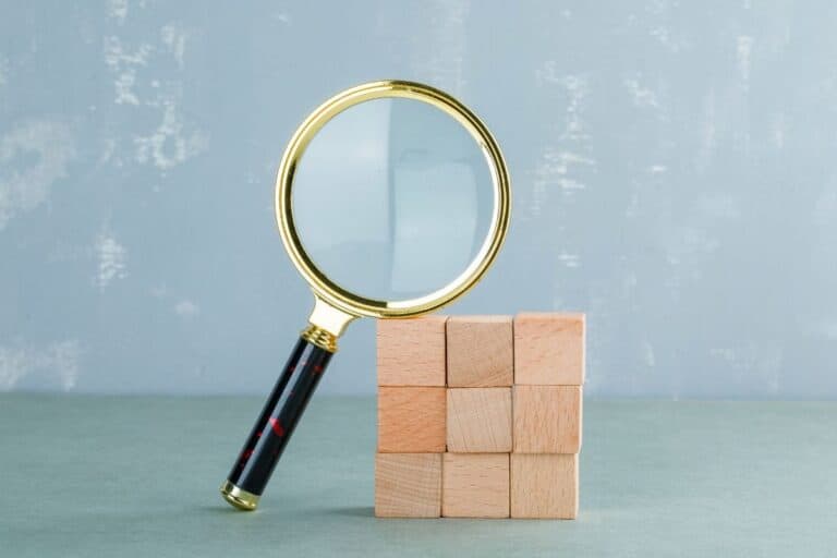 Niche Definition Explained with Clear Examples