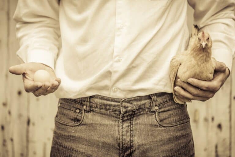 Paradox Definition: Simple Literary Guide for Students